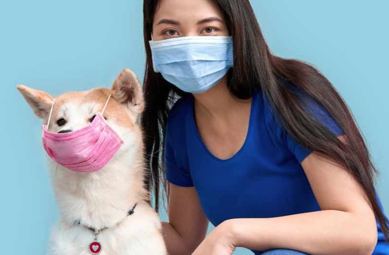 Pet Connect Business